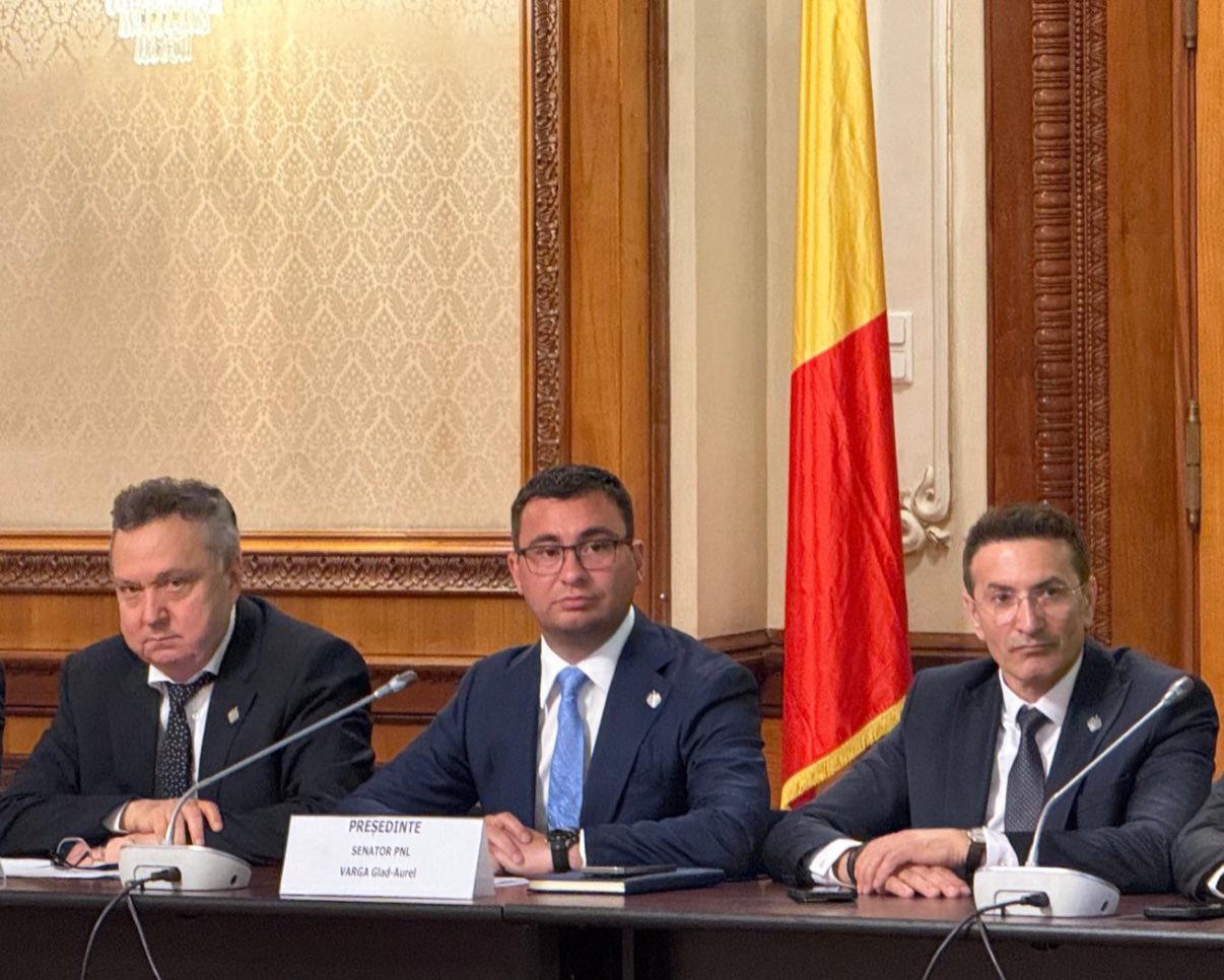 Cadru legal modern pentru energia regenerabilă: prosumatorii își pot ...